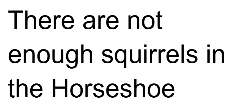 CSCE 190: Robert Bailey